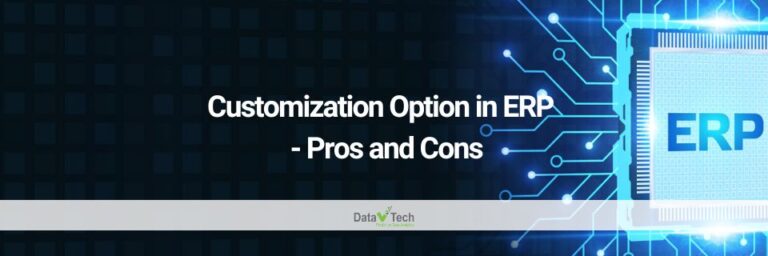 Customization Option in ERP - Pros and Cons